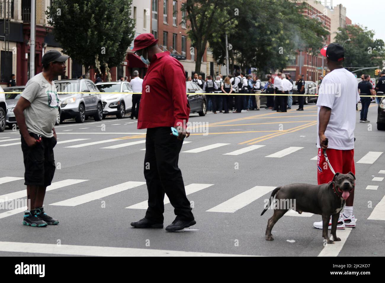 Three Suspects Apprehended in Bronx Shooting, New York, NY USA Stock ...