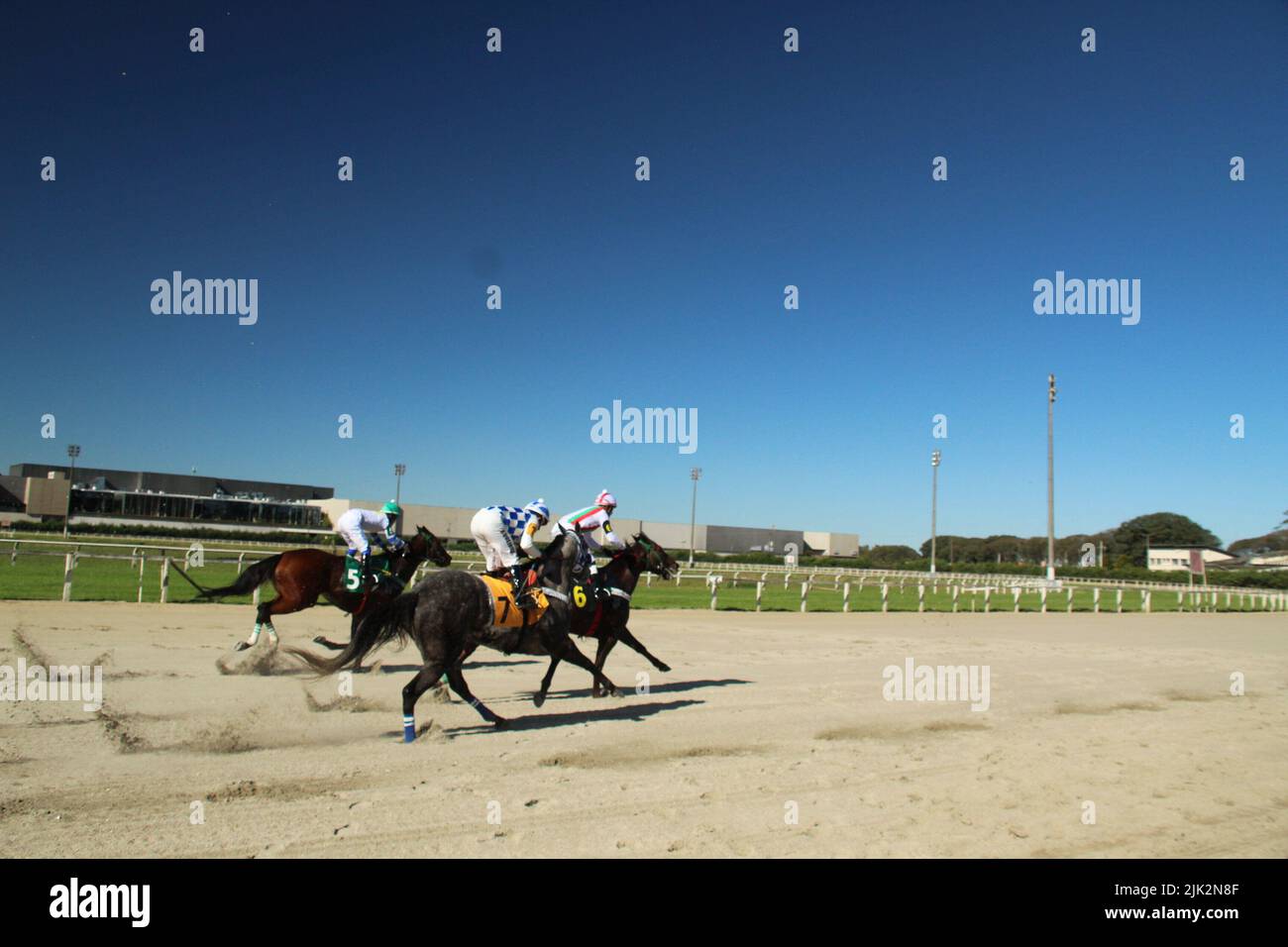 Brazil horse racing hi-res stock photography and images - Alamy