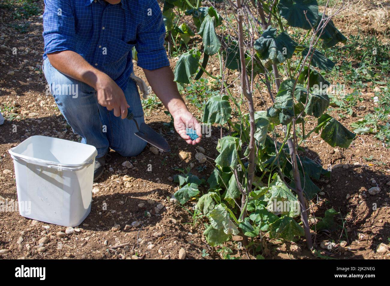 Ground control harvest hi-res stock photography and images - Alamy