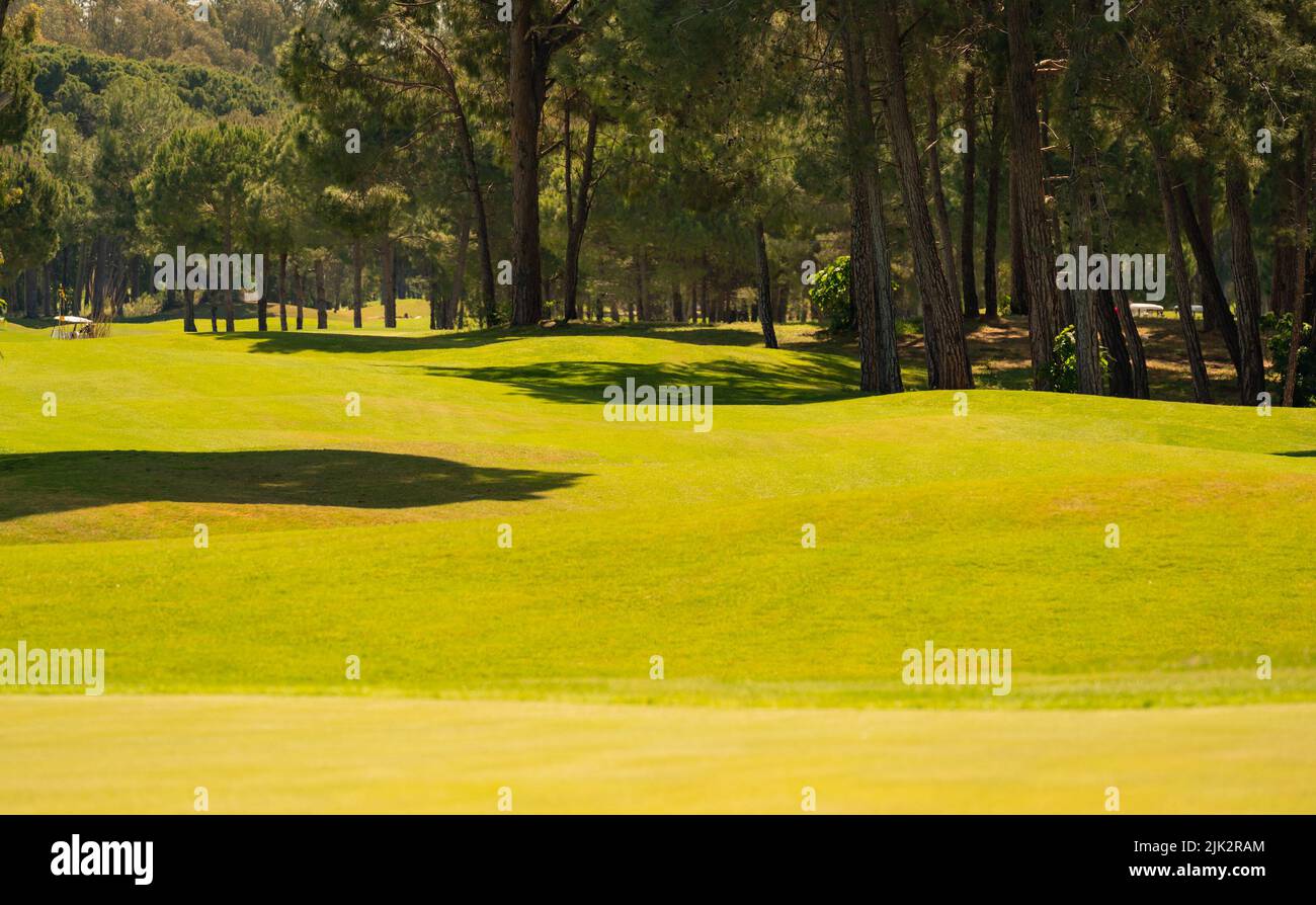 Smooth grass hi-res stock photography and images - Alamy