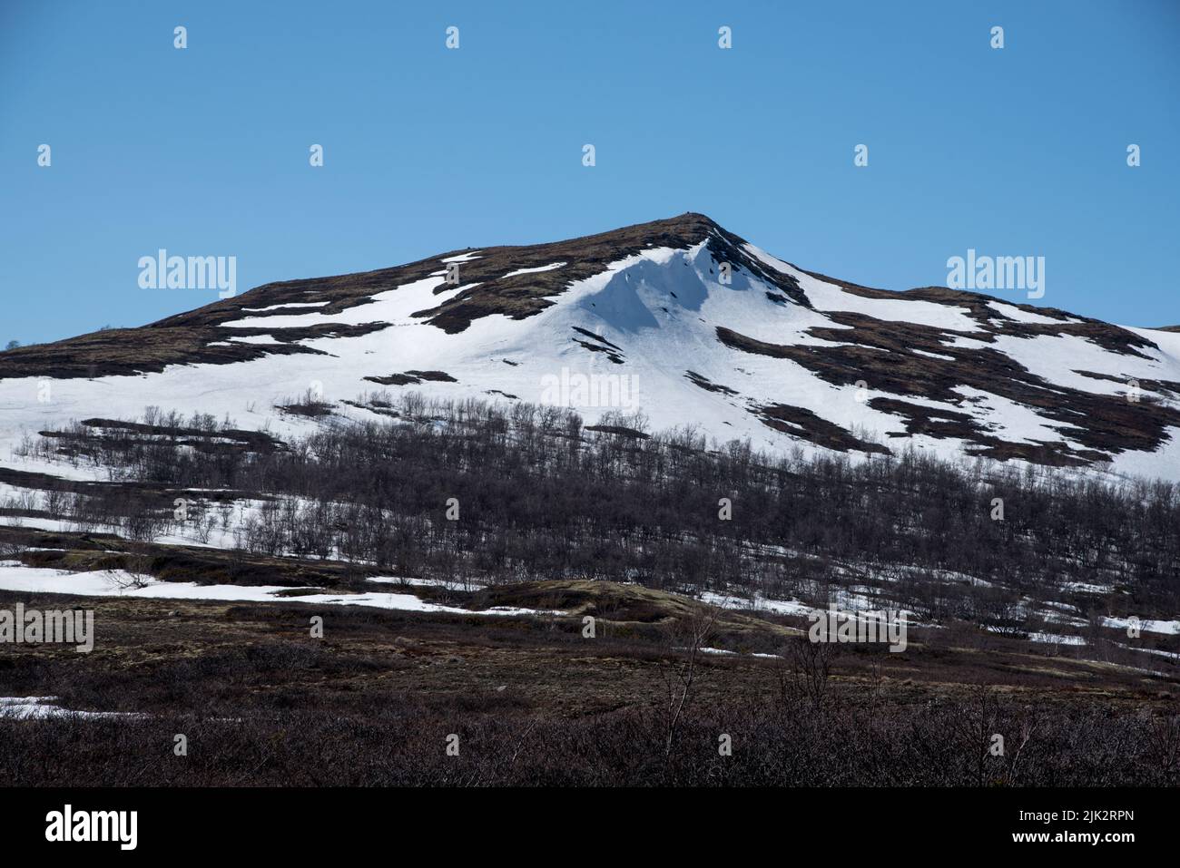 Roughly 1000 meter above sea level Dovrefjell is a mountain range and ...