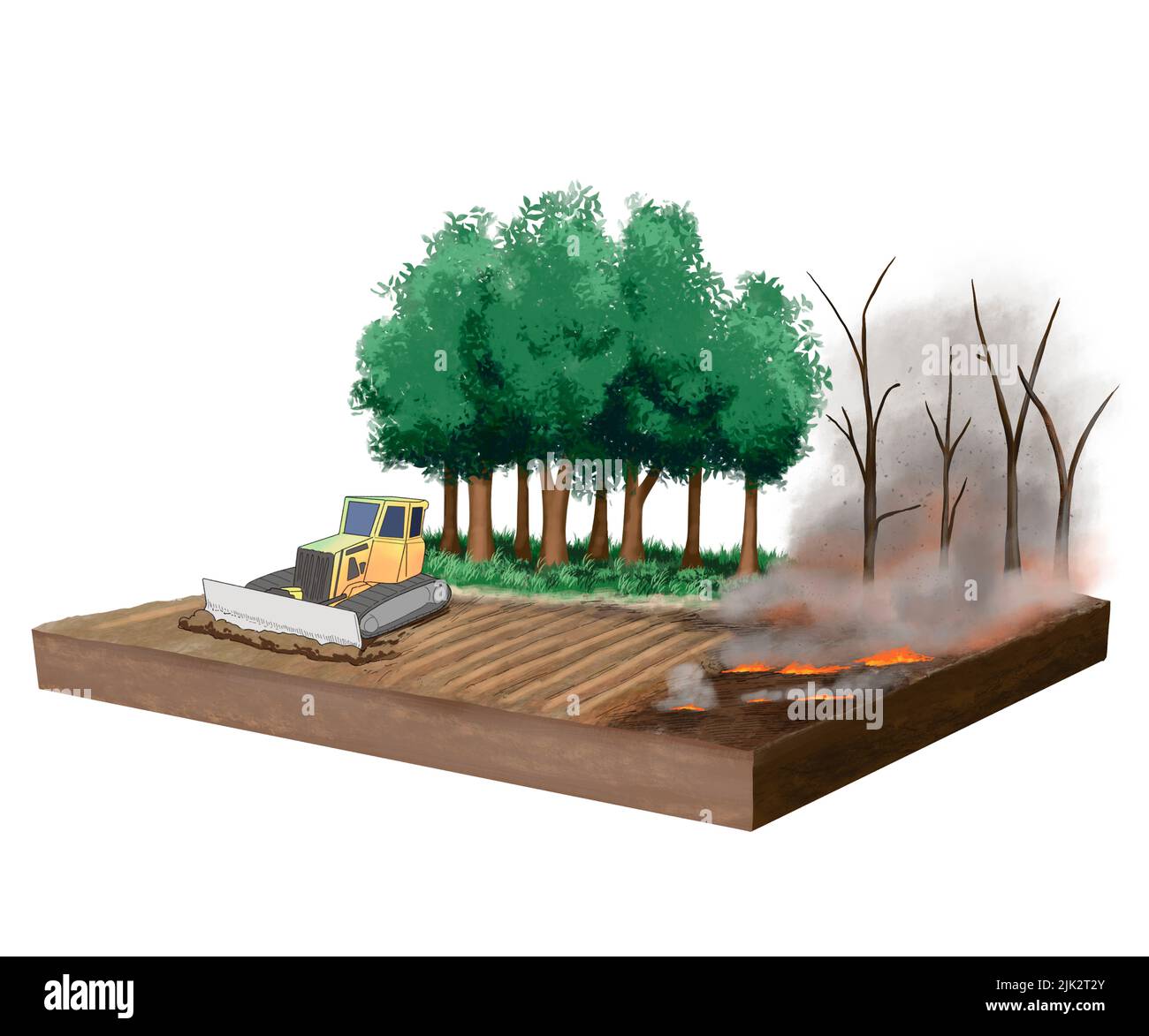 Burned land Cut Out Stock Images & Pictures - Alamy