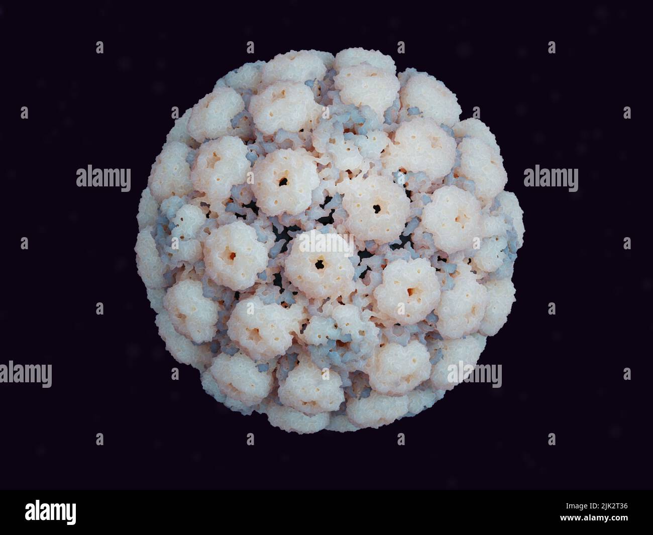 Polyomaviruses hi-res stock photography and images - Alamy