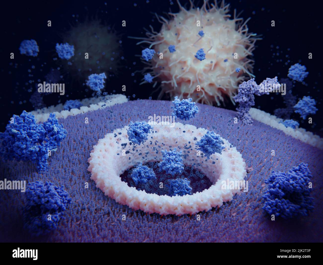 Inflammasome pathway hi-res stock photography and images - Alamy