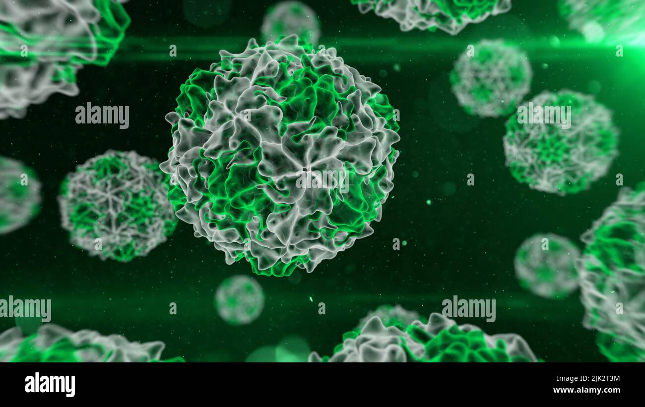Polio Cell Structure