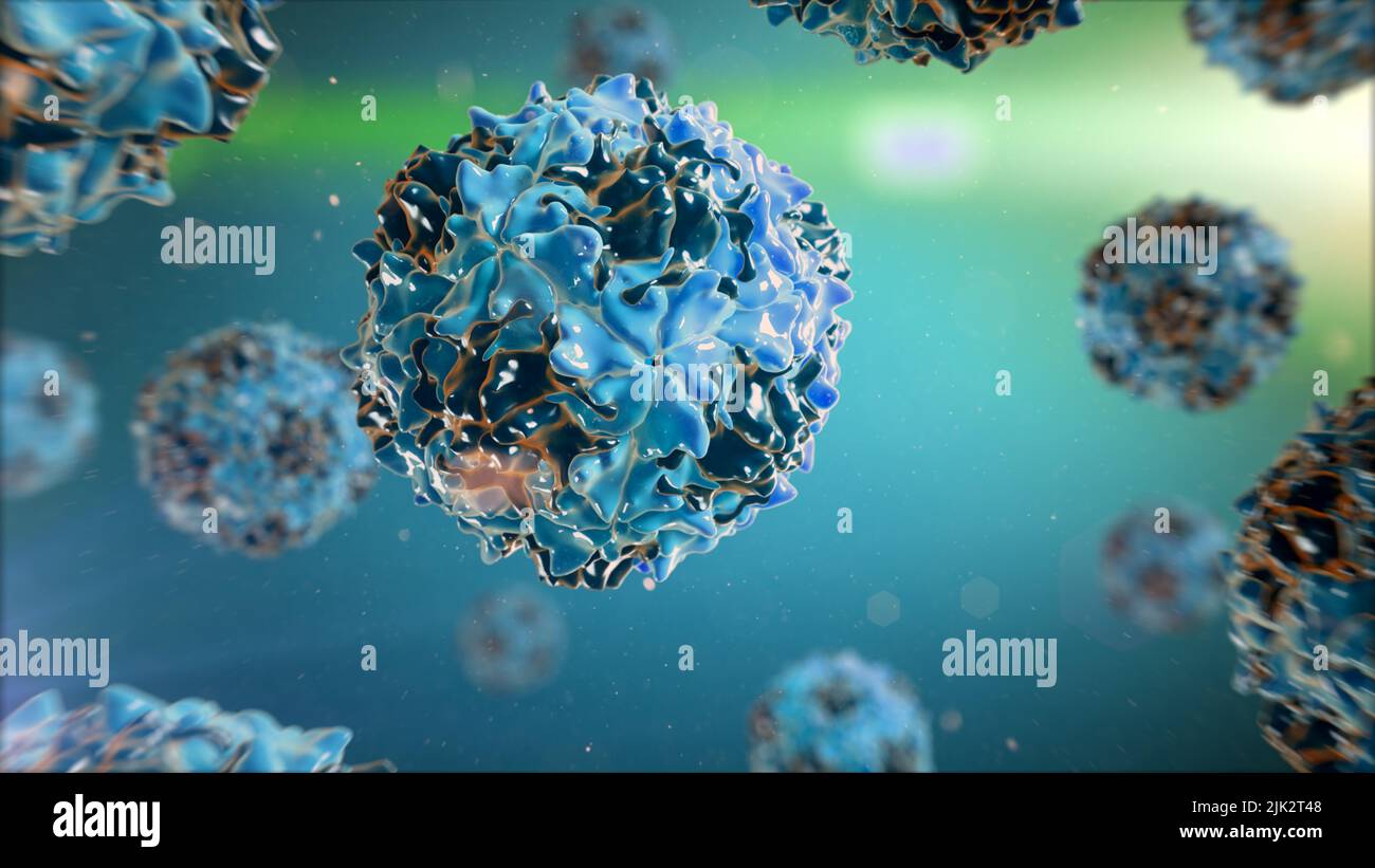 Illustration of poliovirus. Poliovirus particles (virions) are composed ...