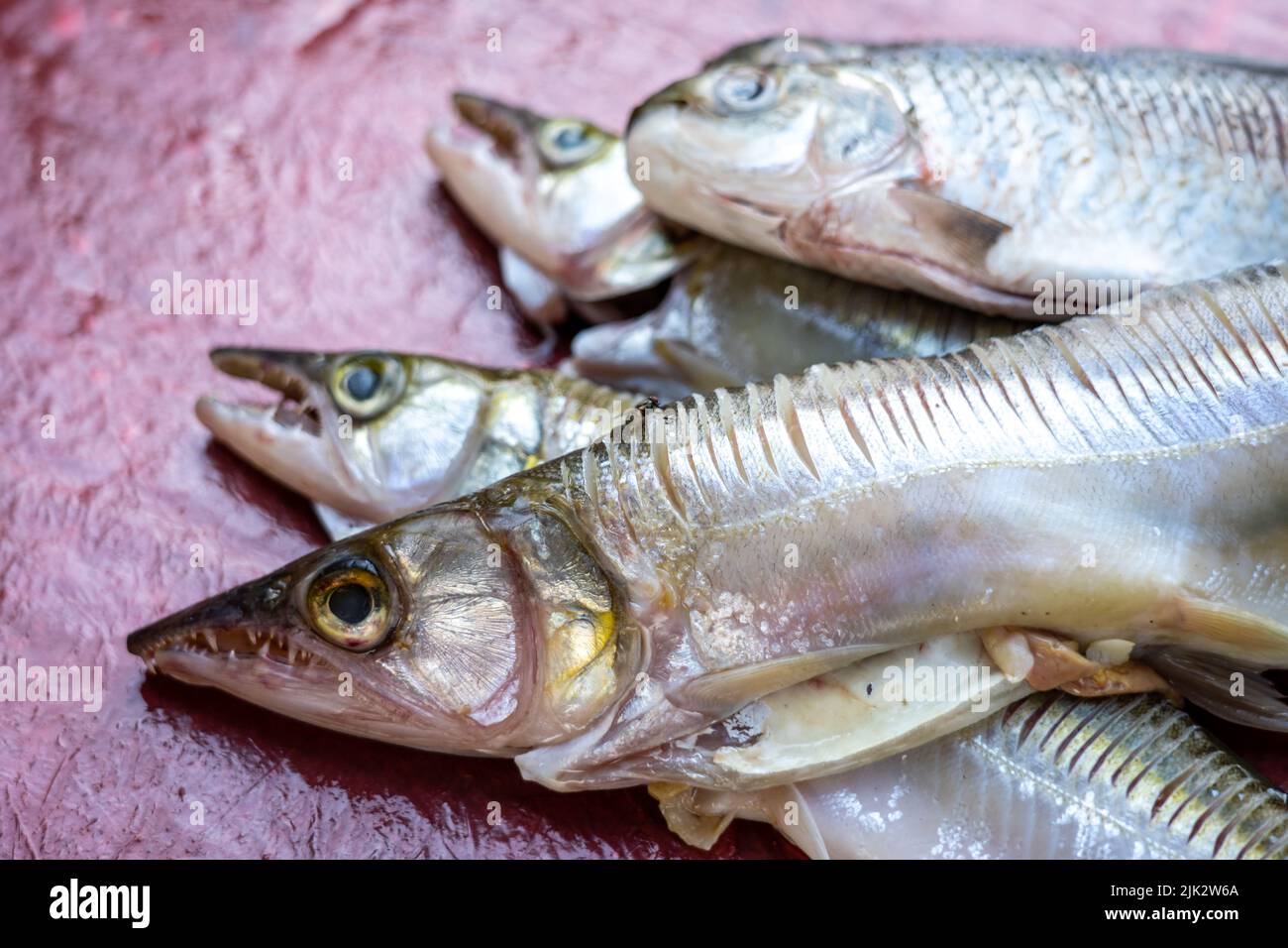 Fish peru hi-res stock photography and images - Alamy