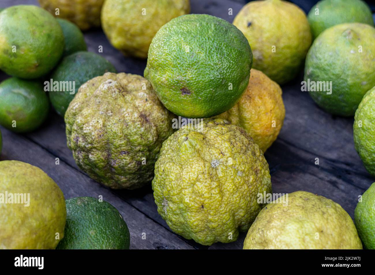 Citroideae hi-res stock photography and images - Alamy