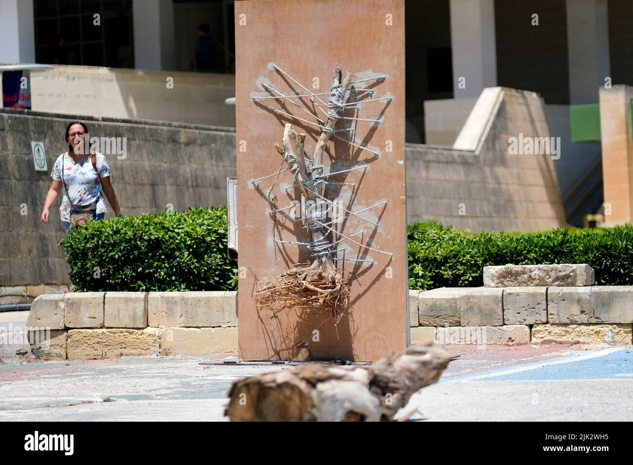 Msida, Malta. 29th July, 2022. Photo taken shows the solo exhibition ...