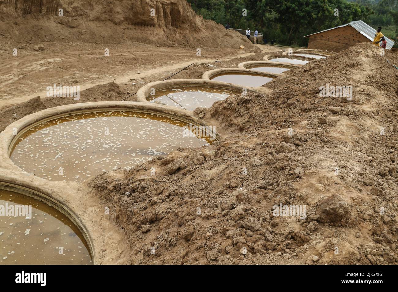 A general view of a gold leaching plant with tanks containing sodium ...