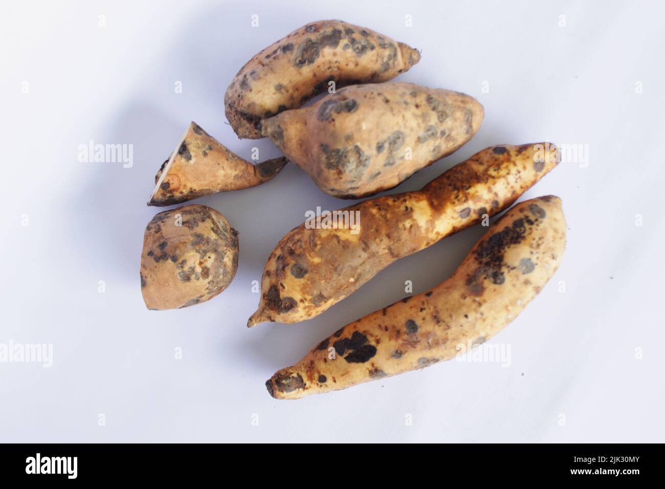 sweet potato cilembu, ubi cilembu kultivar Stock Photo - Alamy