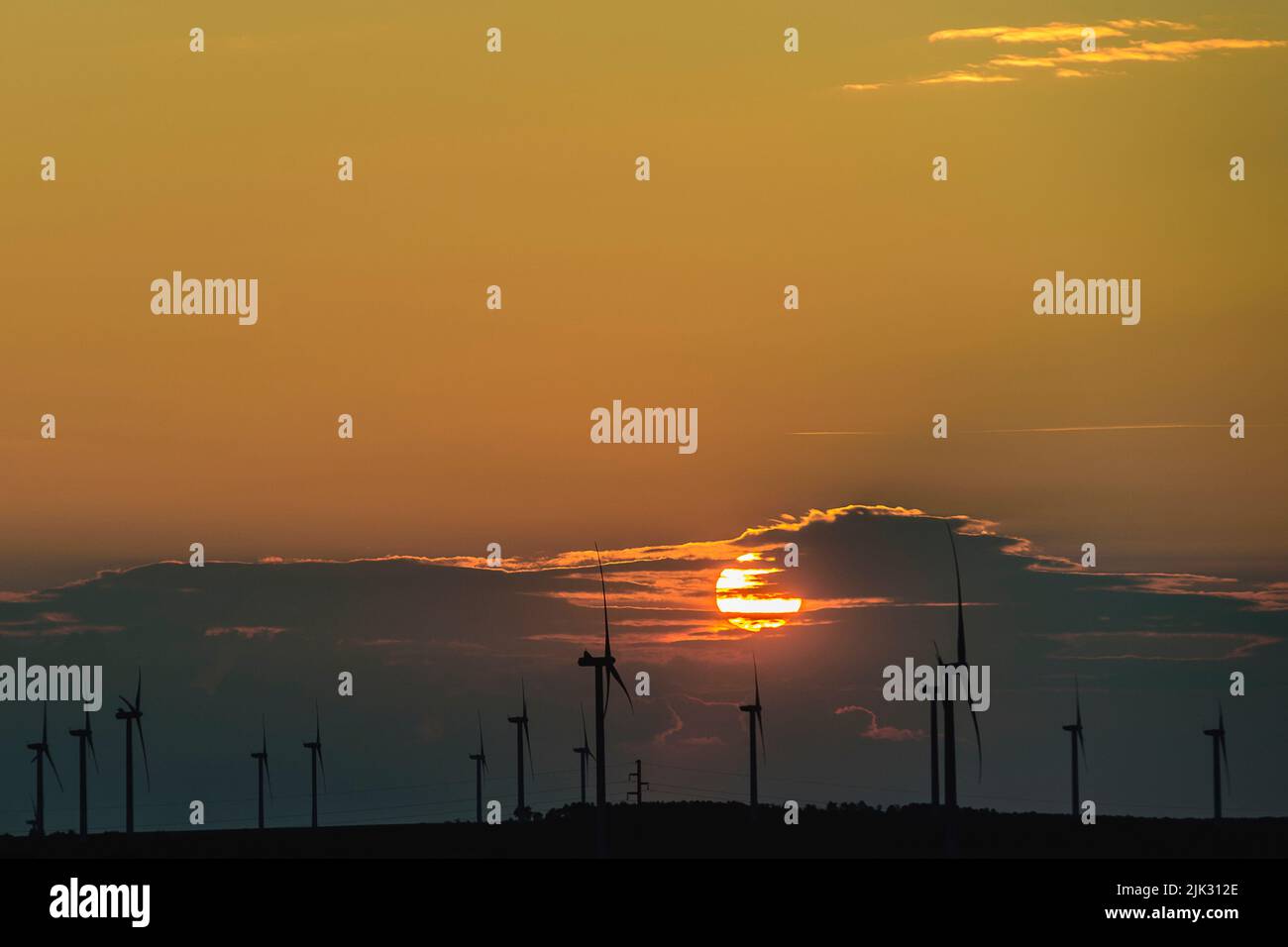 Sunset on a wind turbine farm in the middle of the fields. Electricity ...