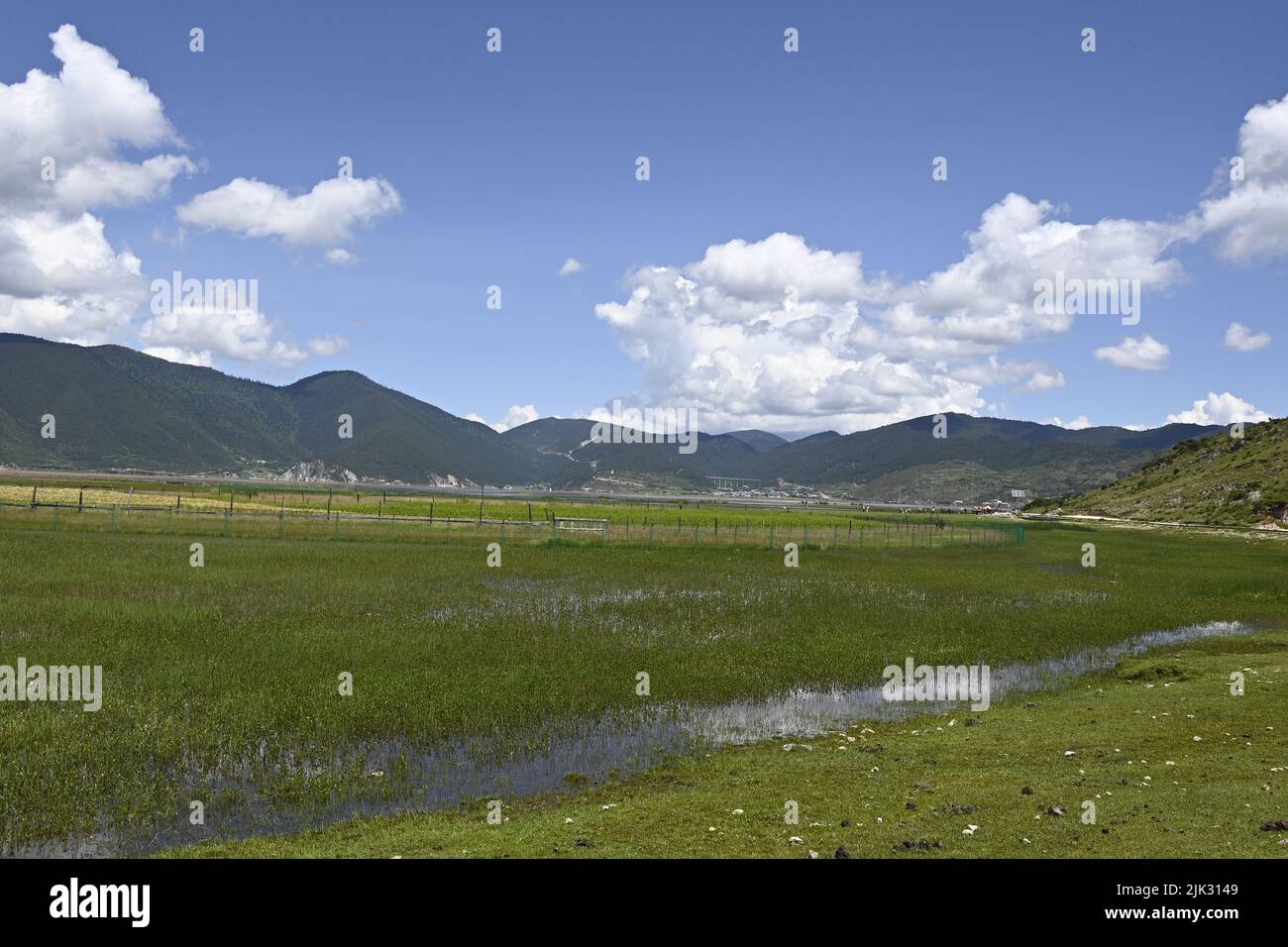 Explore and enjoy the wide open spaces of Napahai park in Shangri-La ...