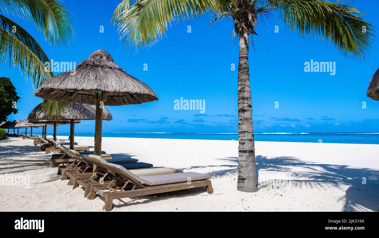 Tropical beach with palm trees and white sand blue ocean and beach beds with umbrellas, sun ...