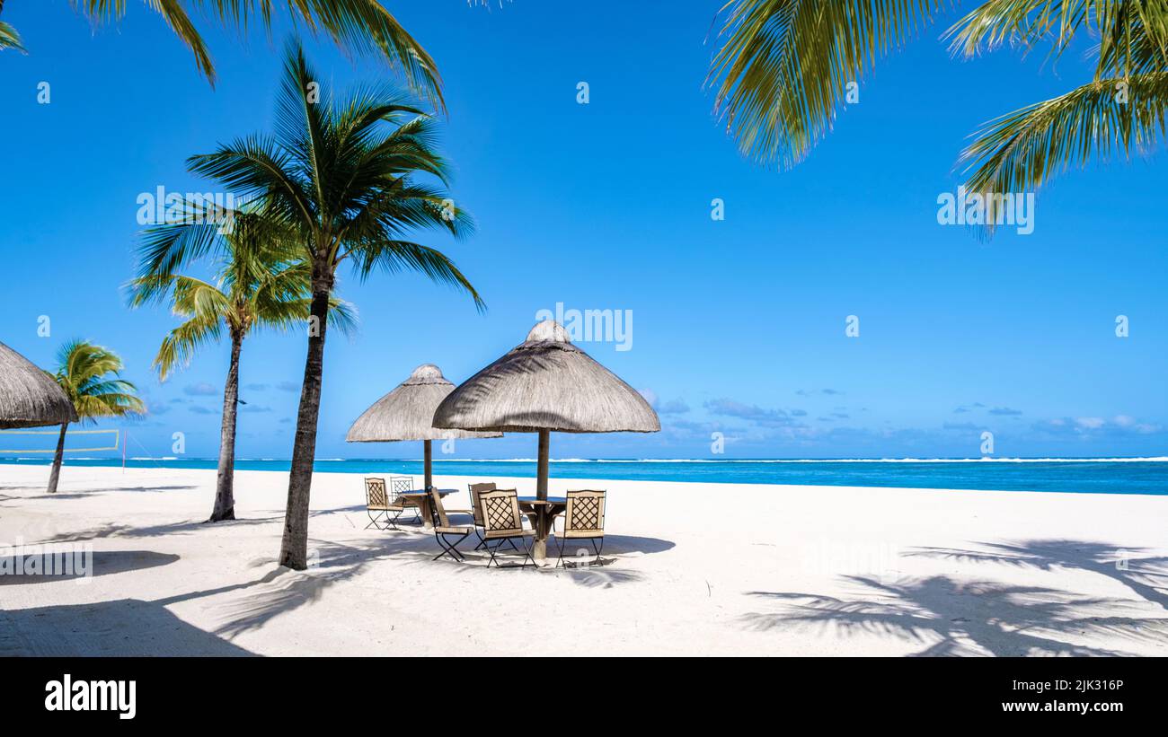 Tropical beach with palm trees and white sand blue ocean and beach beds ...