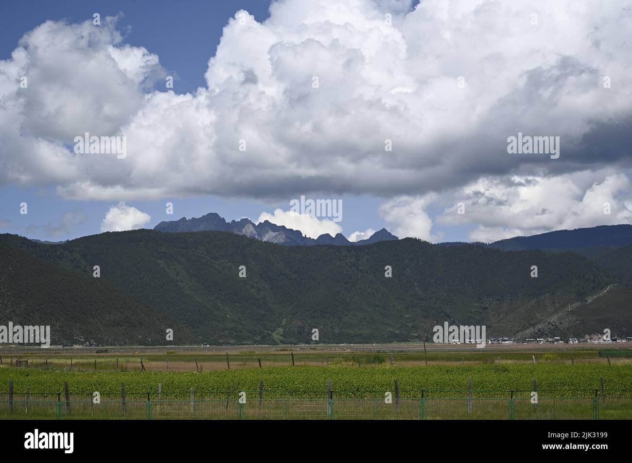 Explore and enjoy the wide open spaces of Napahai park in Shangri-La ...