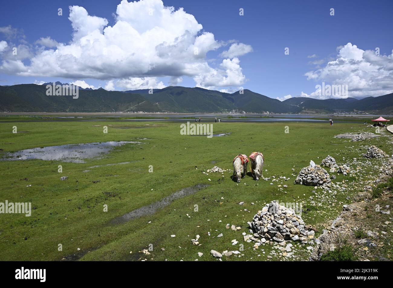 Explore and enjoy the wide open spaces of Napahai park in Shangri-La ...