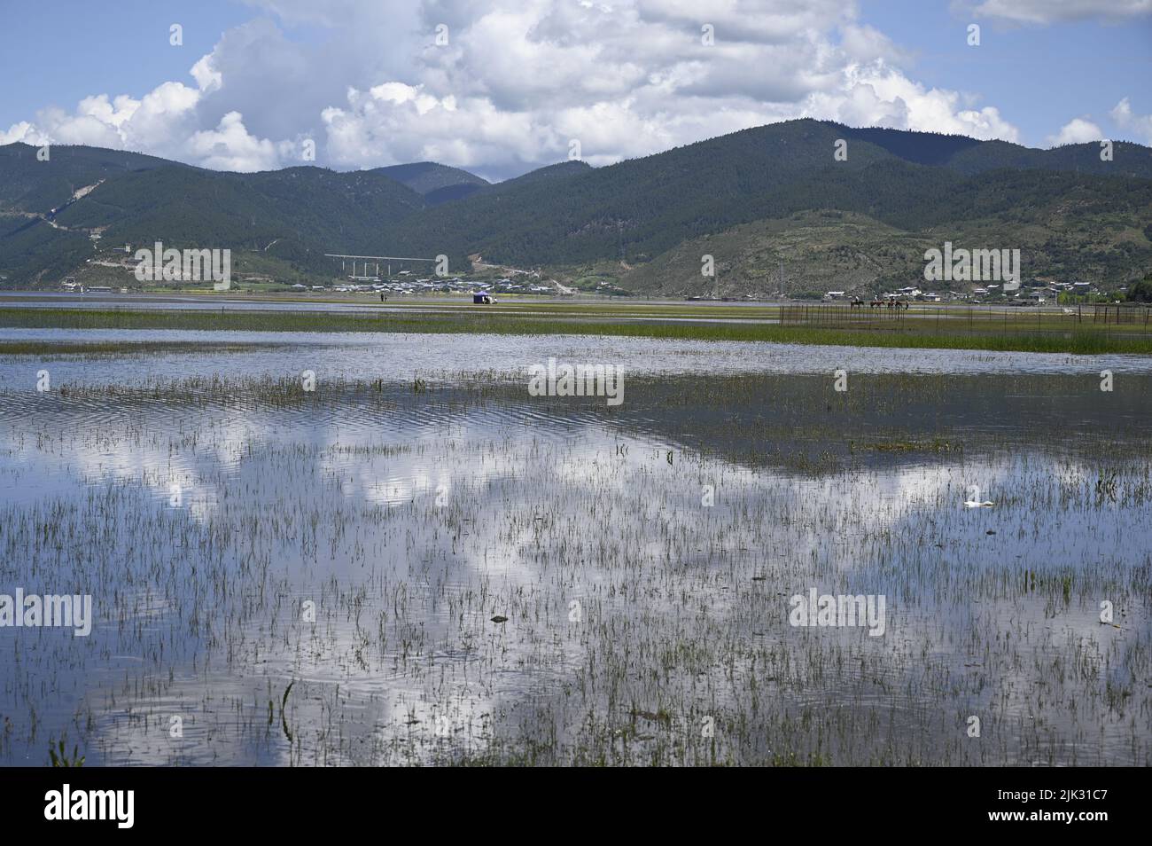 Explore and enjoy the wide open spaces of Napahai park in Shangri-La ...