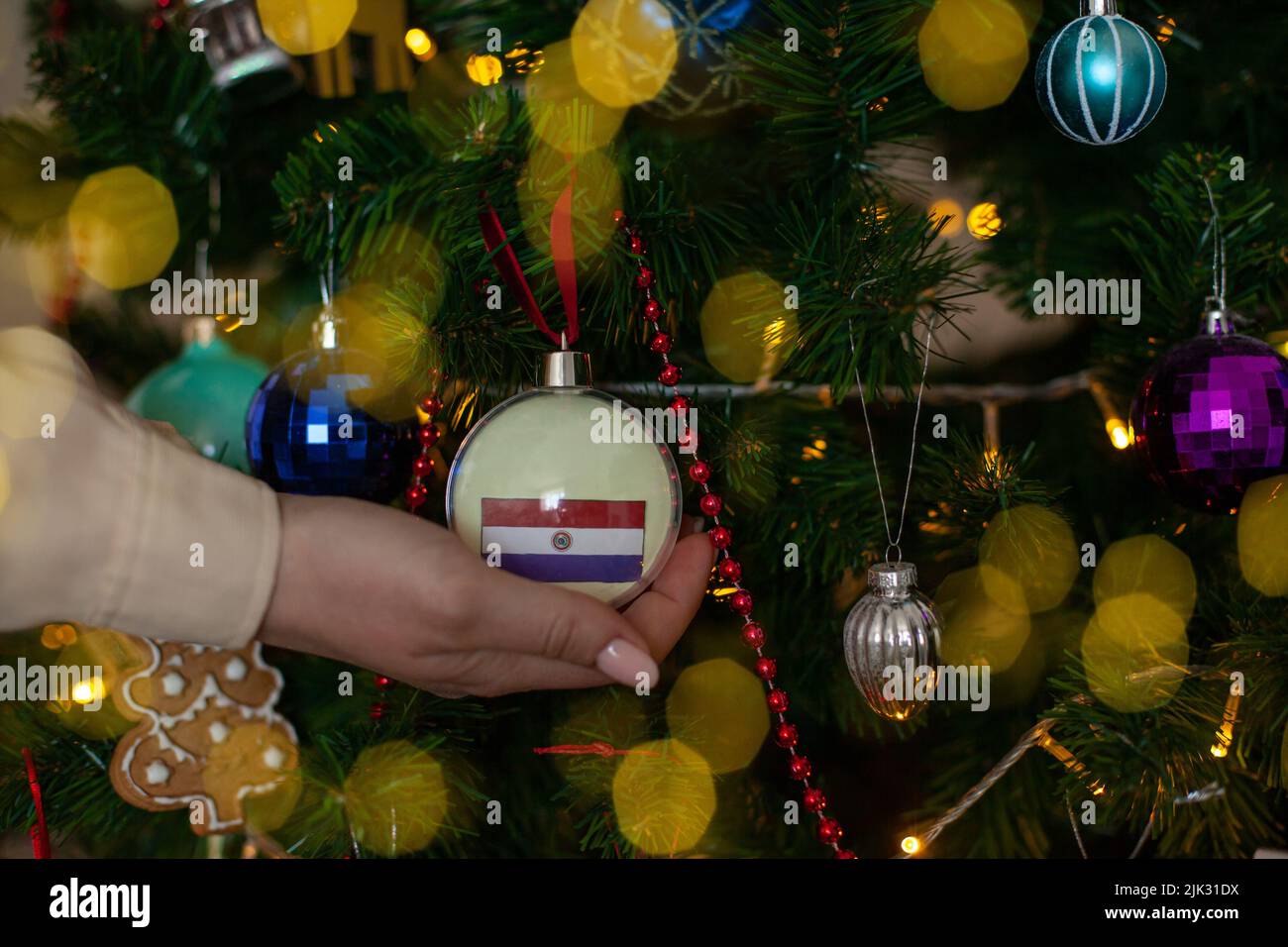 National tree of paraguay hi-res stock photography and images - Alamy