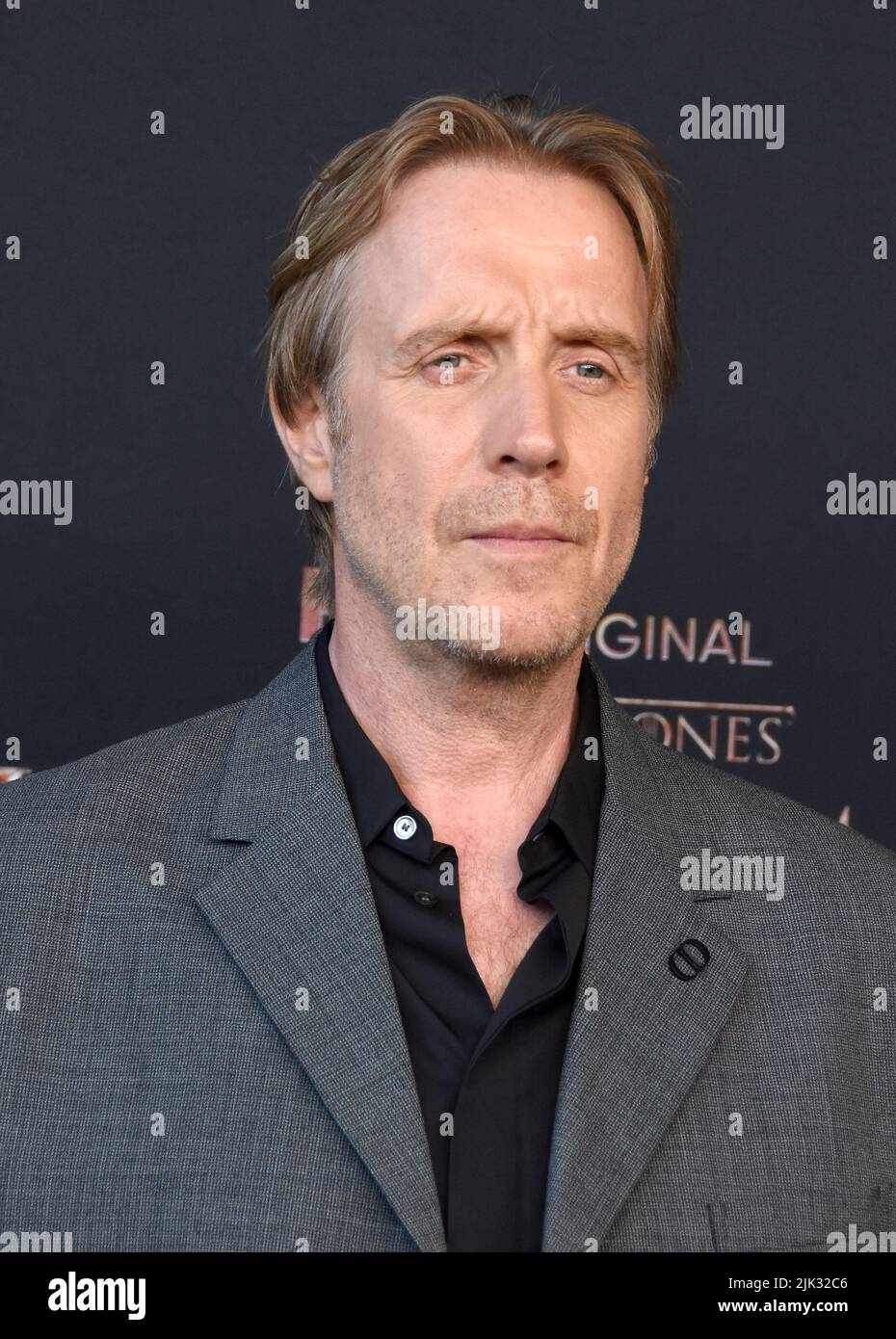 Los Angeles, California, USA 27th July 2022 Actor Rhys Ifans attends ...