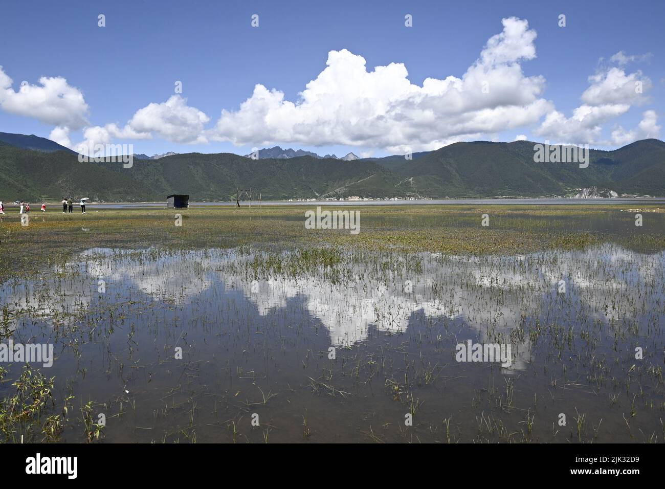 Explore and enjoy the wide open spaces of Napahai park in Shangri-La ...