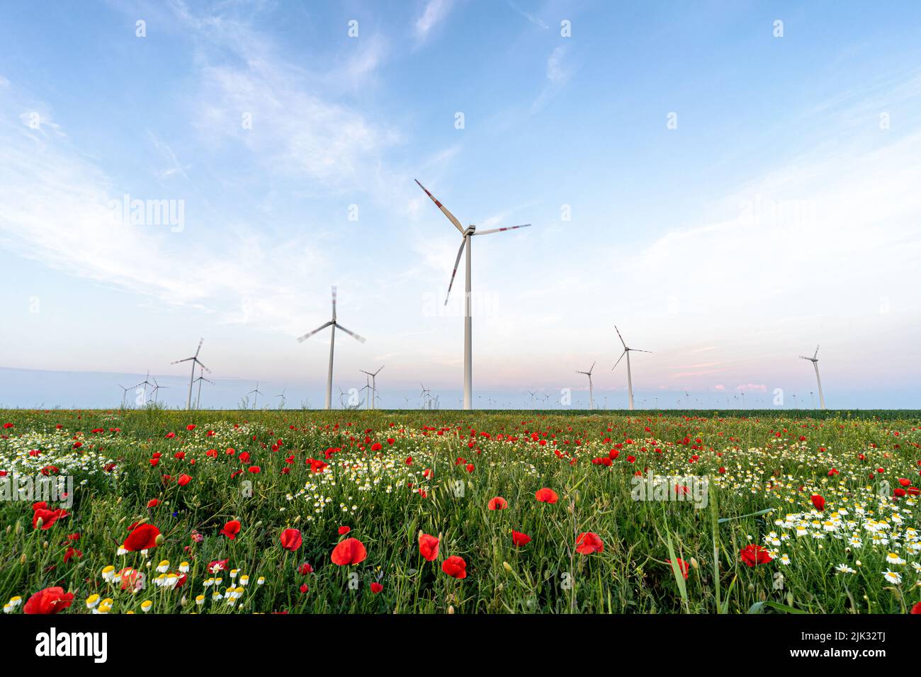 Renewable Energy Windmill Farm in Austria Stock Photo - Alamy