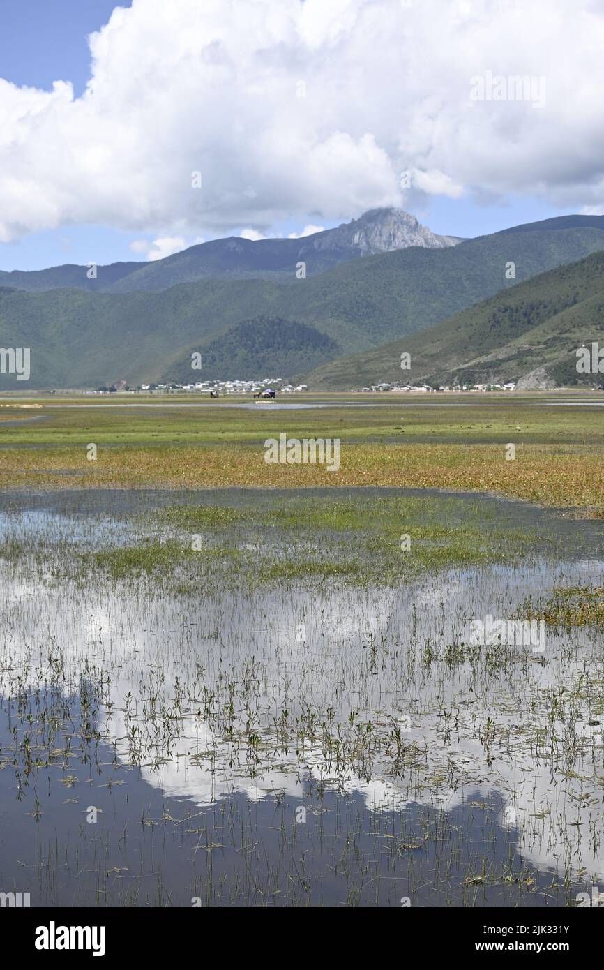 Explore and enjoy the wide open spaces of Napahai park in Shangri-La ...