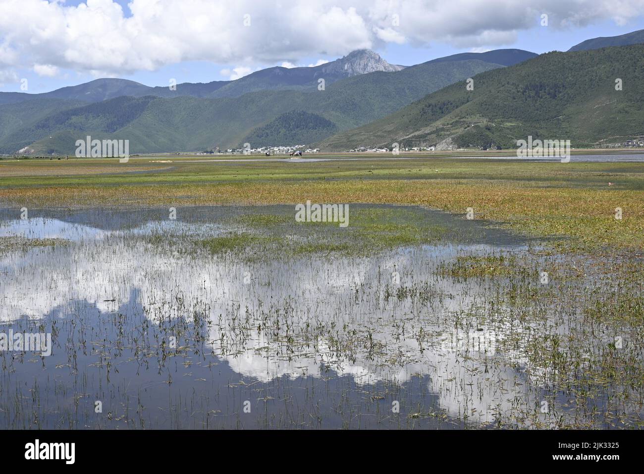 Explore and enjoy the wide open spaces of Napahai park in Shangri-La ...