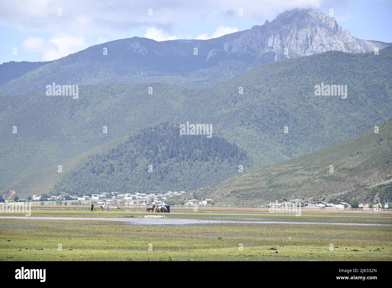 Explore and enjoy the wide open spaces of Napahai park in Shangri-La ...