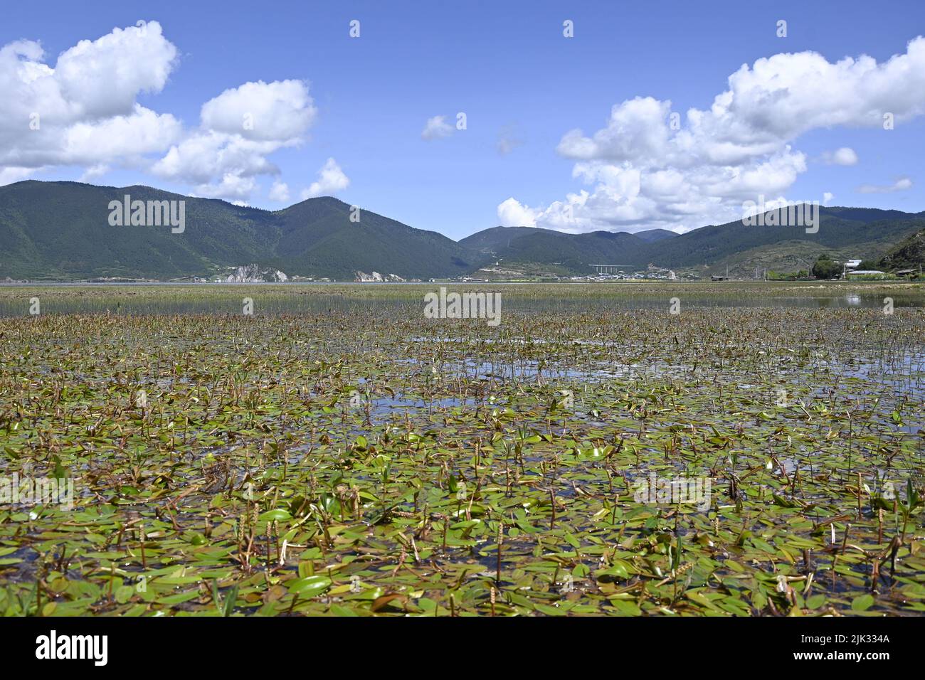 Explore and enjoy the wide open spaces of Napahai park in Shangri-La ...