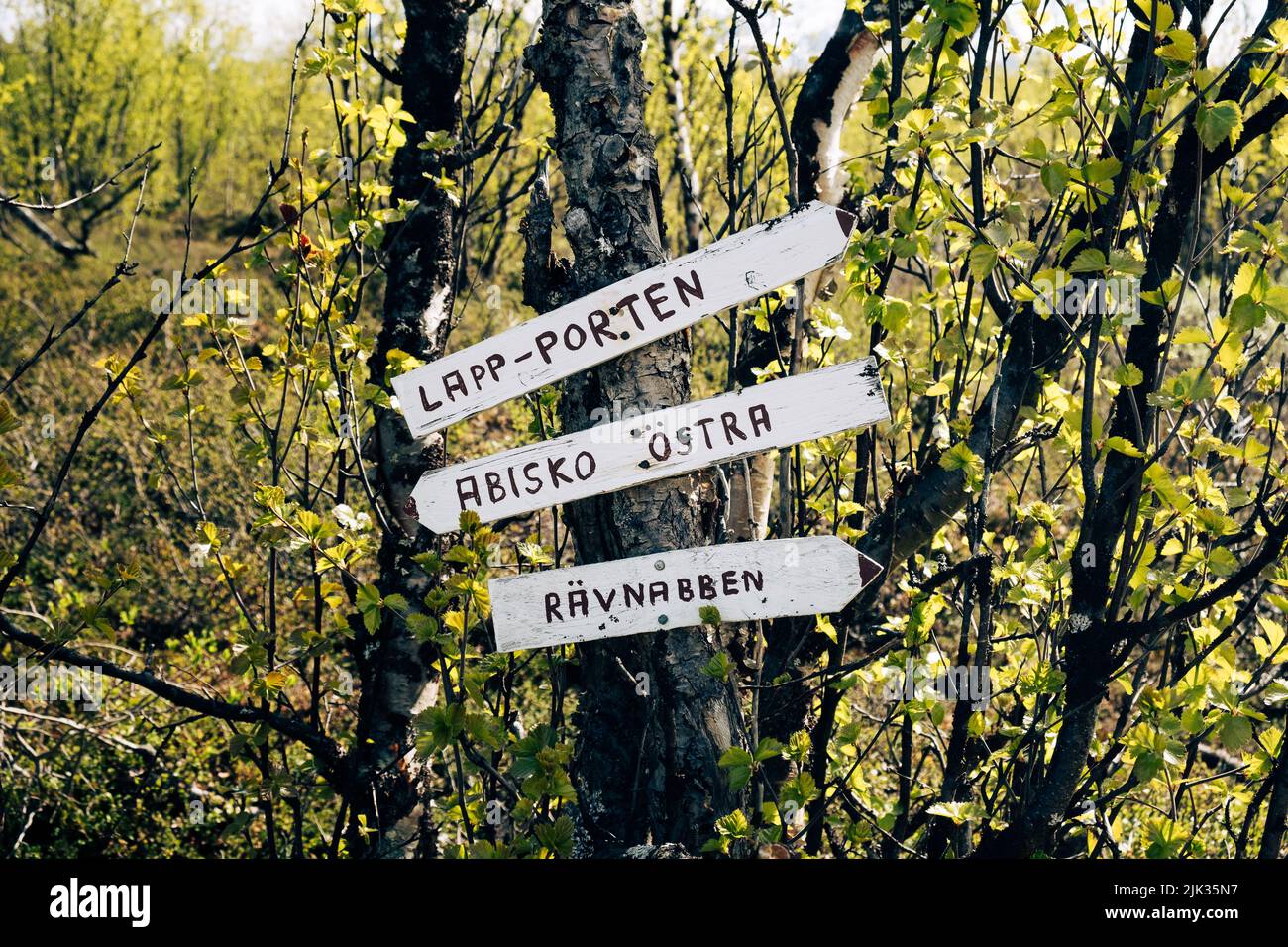 Sign posts for Abisko National Park near Lapp Porten Stock Photo - Alamy