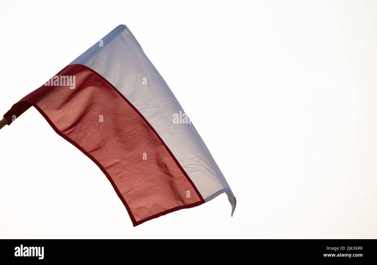 Polish flag isolated on a light background. Polish national colors in ...