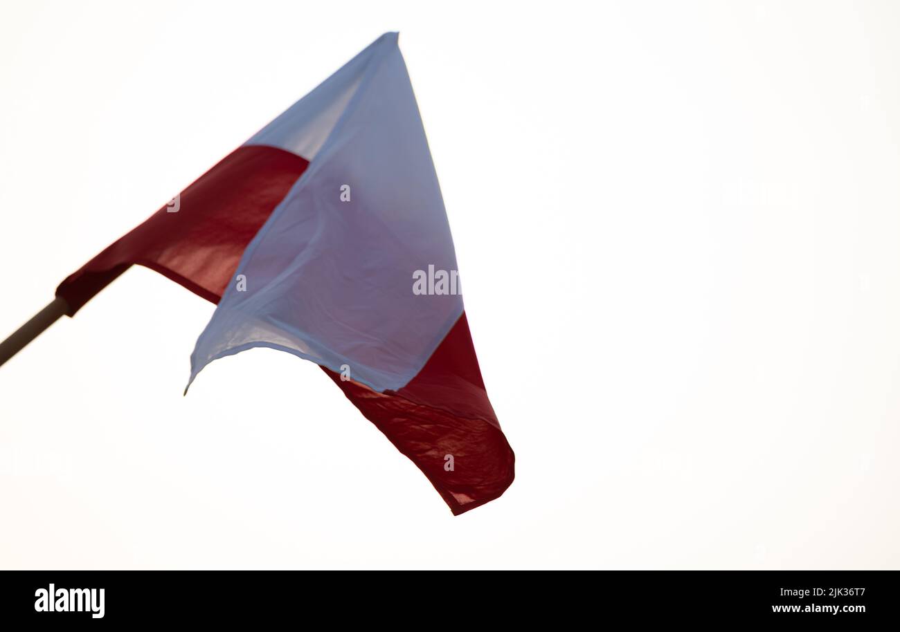 Polish flag isolated on a light background. Polish national colors in ...