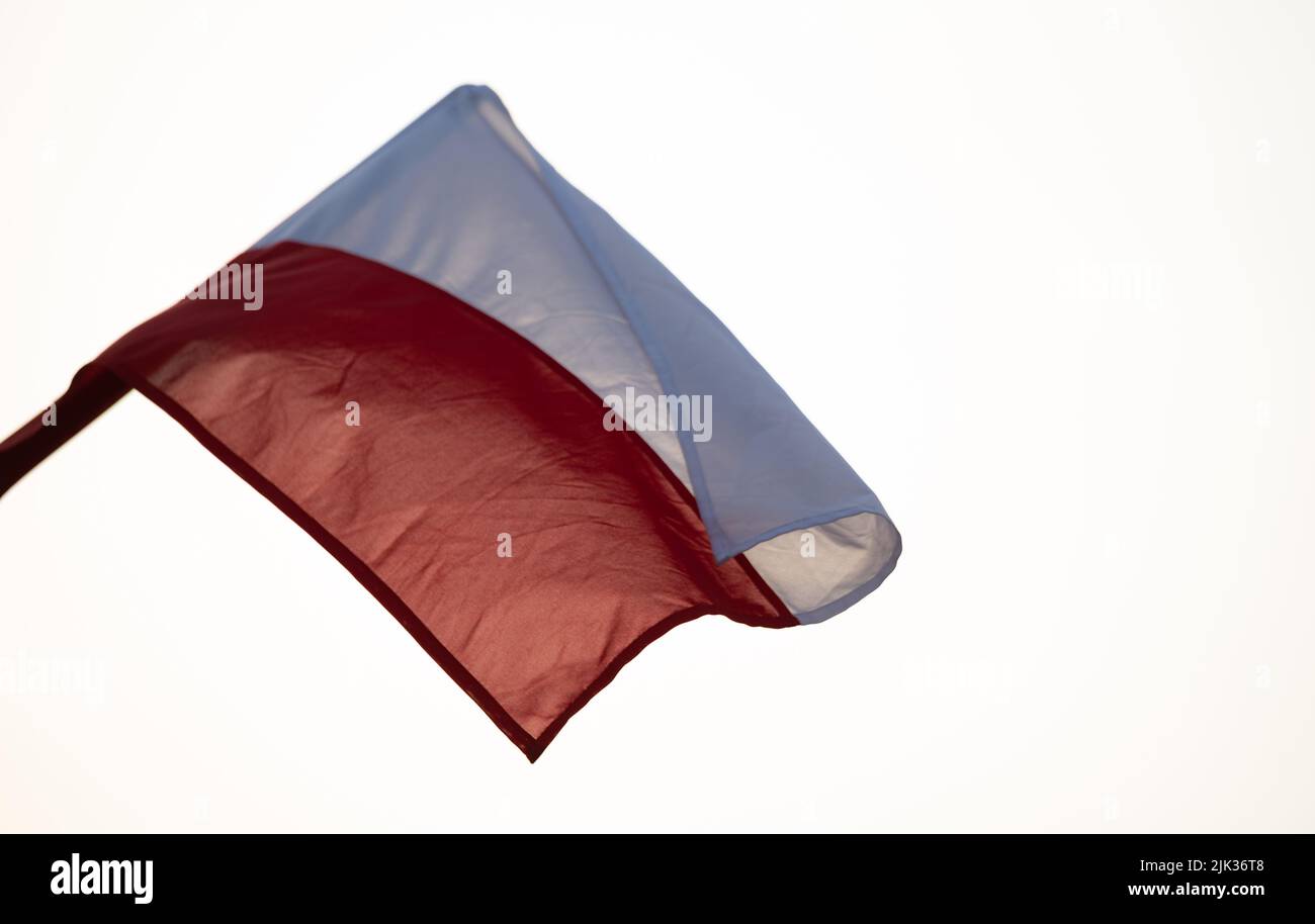 Polish flag isolated on a light background. Polish national colors in ...