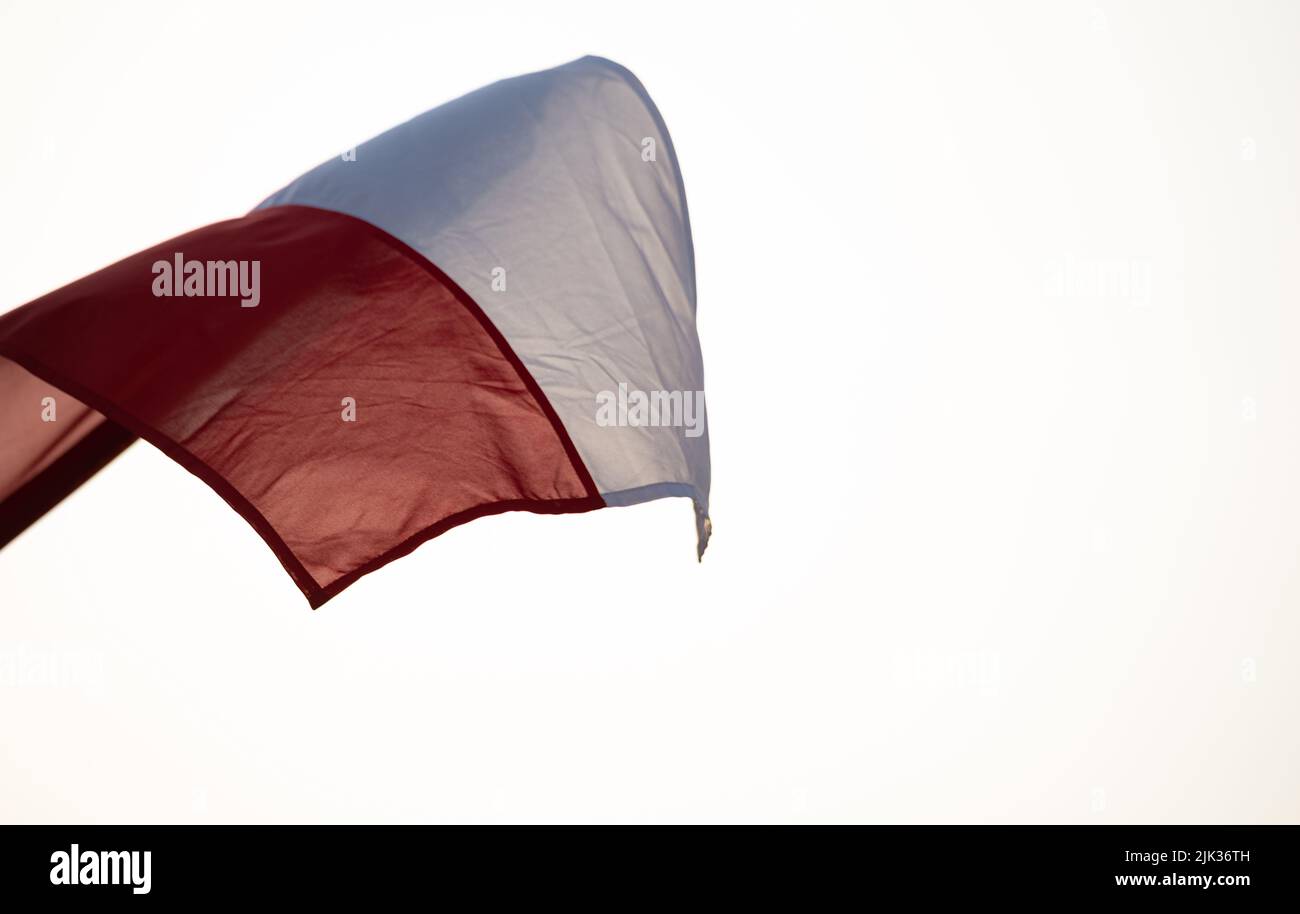 Polish flag isolated on a light background. Polish national colors in ...