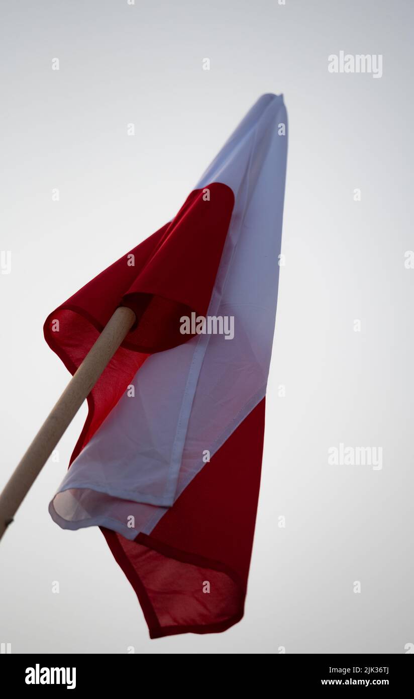 Polish flag isolated on a light background. Polish national colors in ...