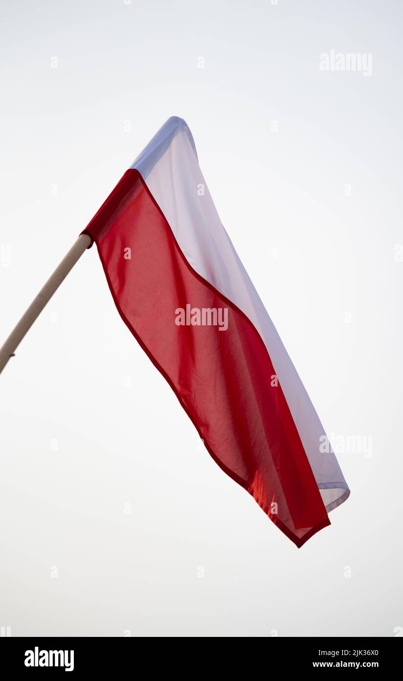 Polish flag isolated on a light background. Polish national colors in ...