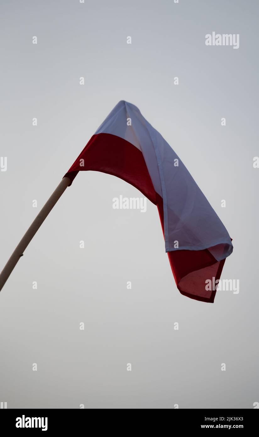 Polish flag isolated on a light background. Polish national colors in ...