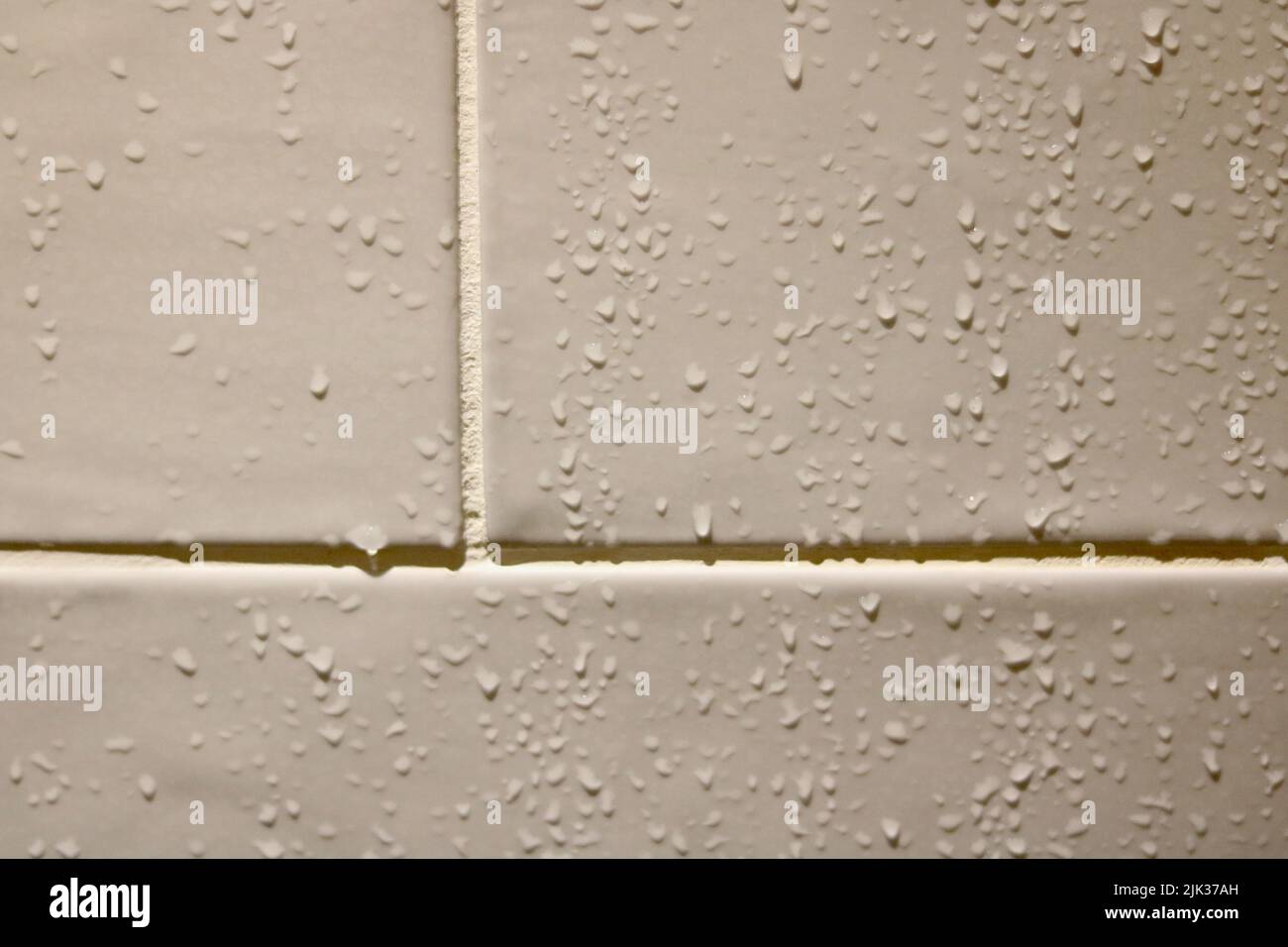 Close up image of water droplets running down beige bathroom tiles ...