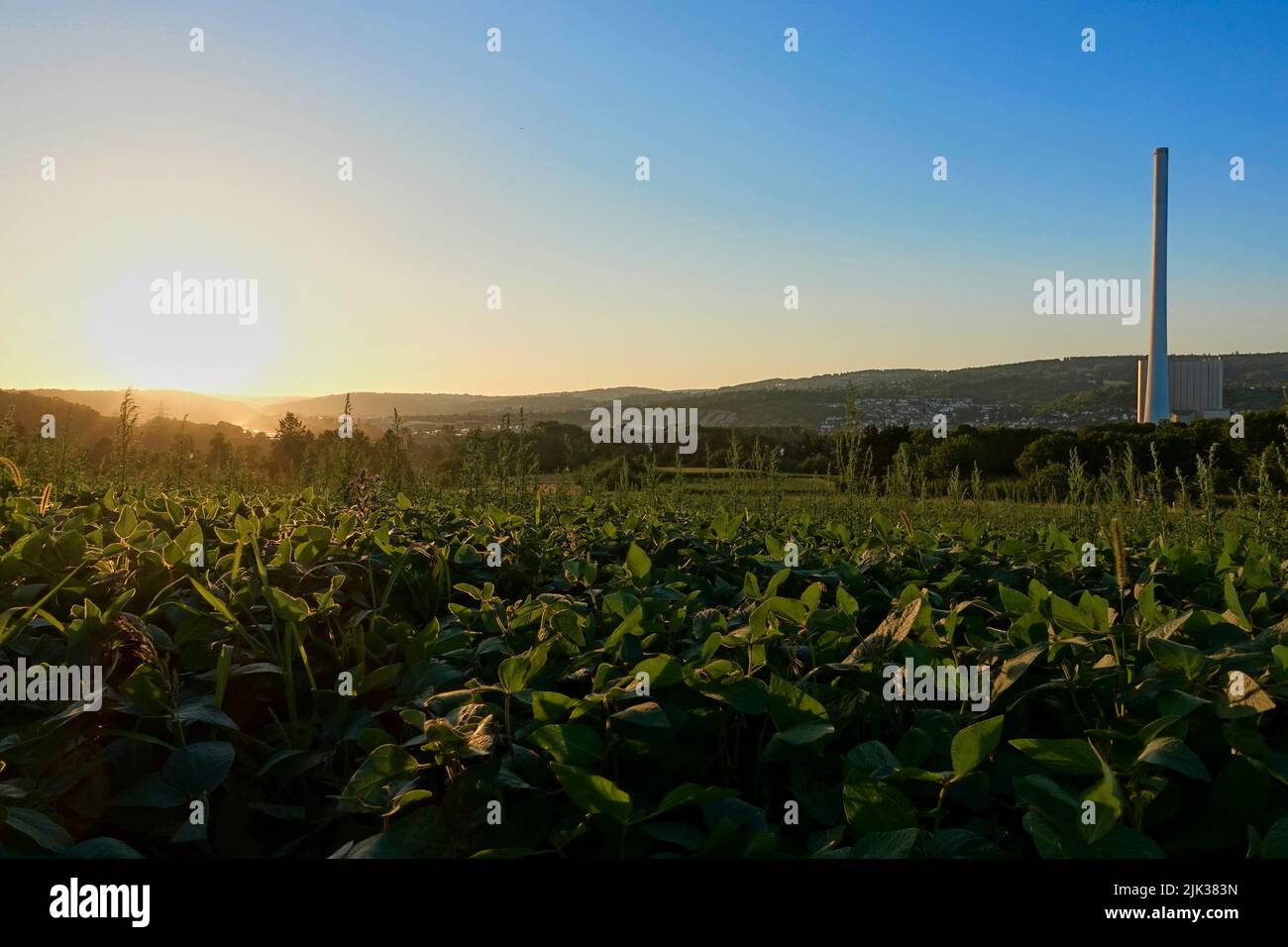 Coal power station not active. Harvested crop field and chimney at ...