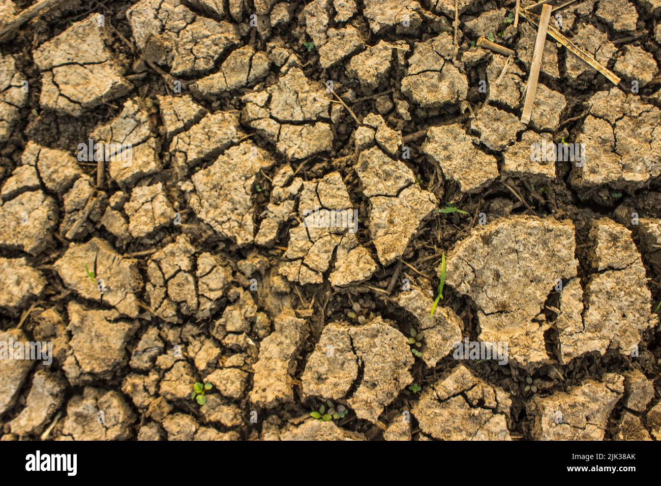 Brown dry soil or cracked ground texture background. the land was taken ...