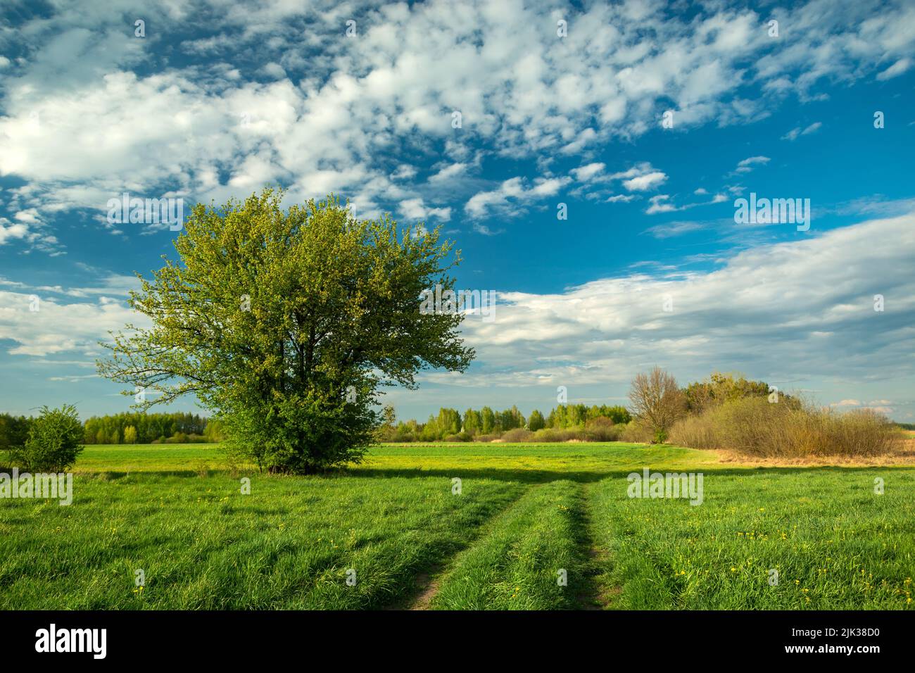 Blue sky with a single white cloud hi-res stock photography and images ...