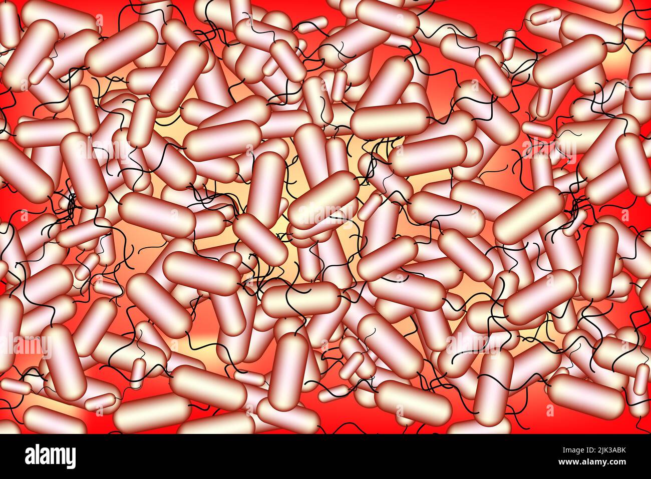 bacillus bacteria in human gut Stock Photo - Alamy