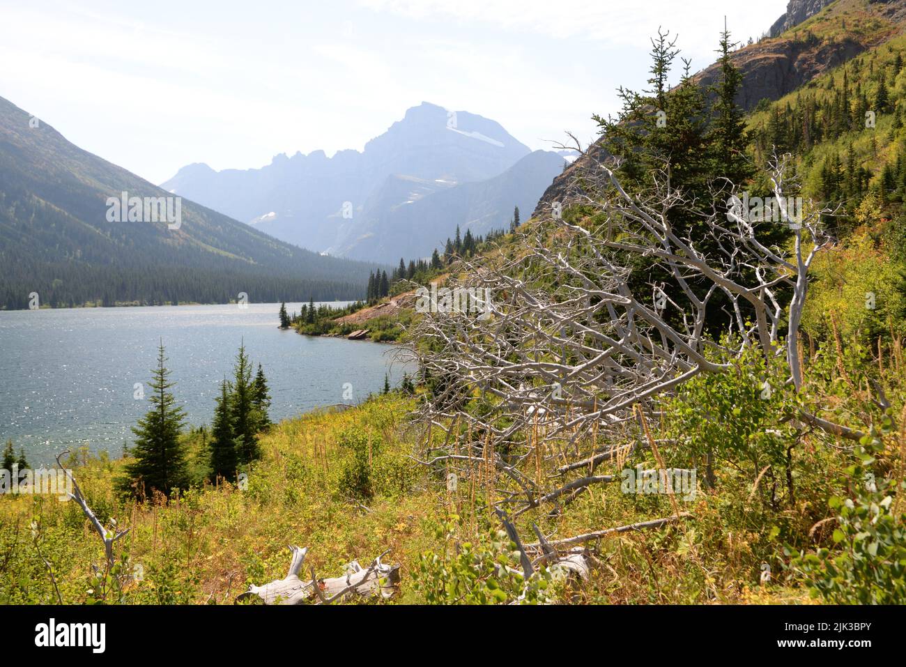 Many Glacier trail in Glacier National Park USA Stock Photo - Alamy