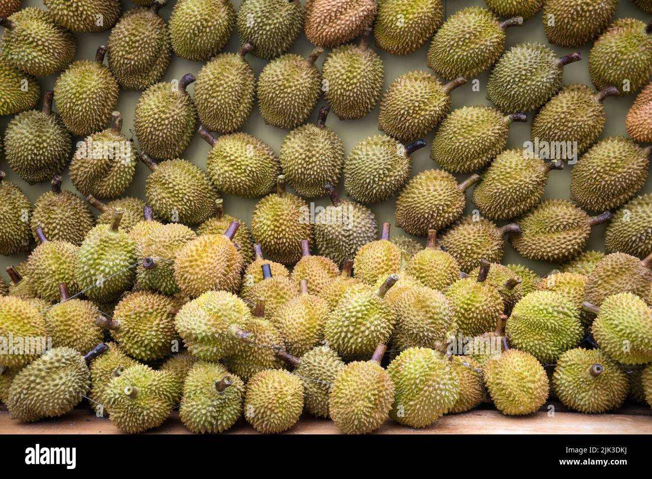 Stack of durians at a fresh market in Malaysia Stock Photo - Alamy