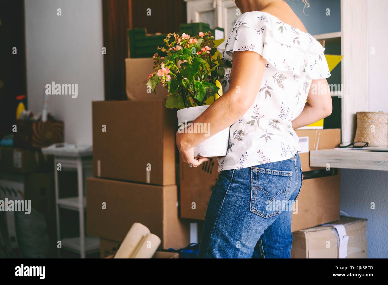 One woman with plant inside new flat apartment after home moving ...