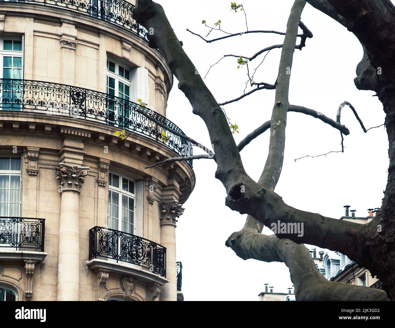 houses on french streets of Paris. citylife concept. regular view Stock ...