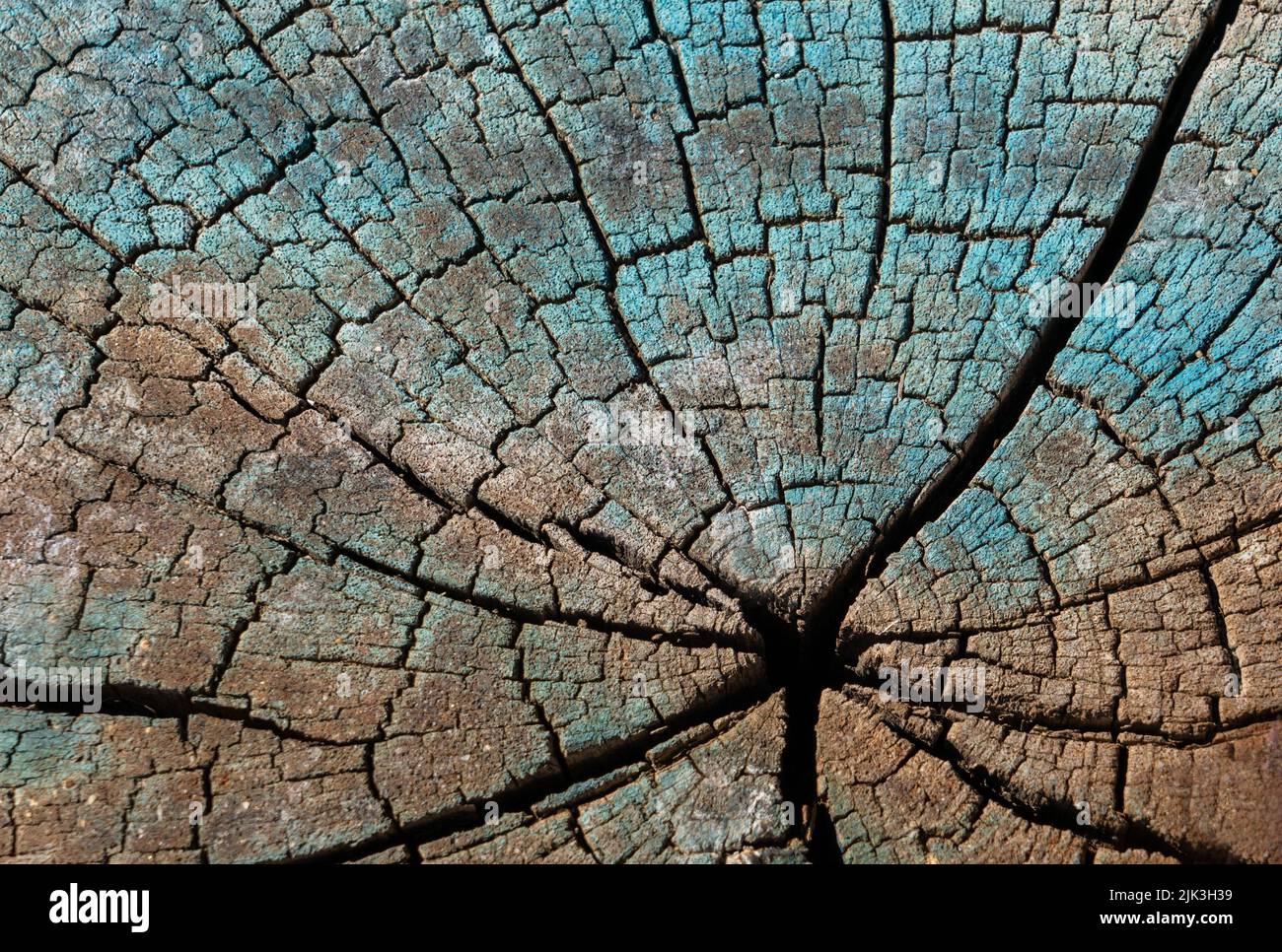 Coastal Rustic. Weathered wood with a cracked and colourful abstract ...