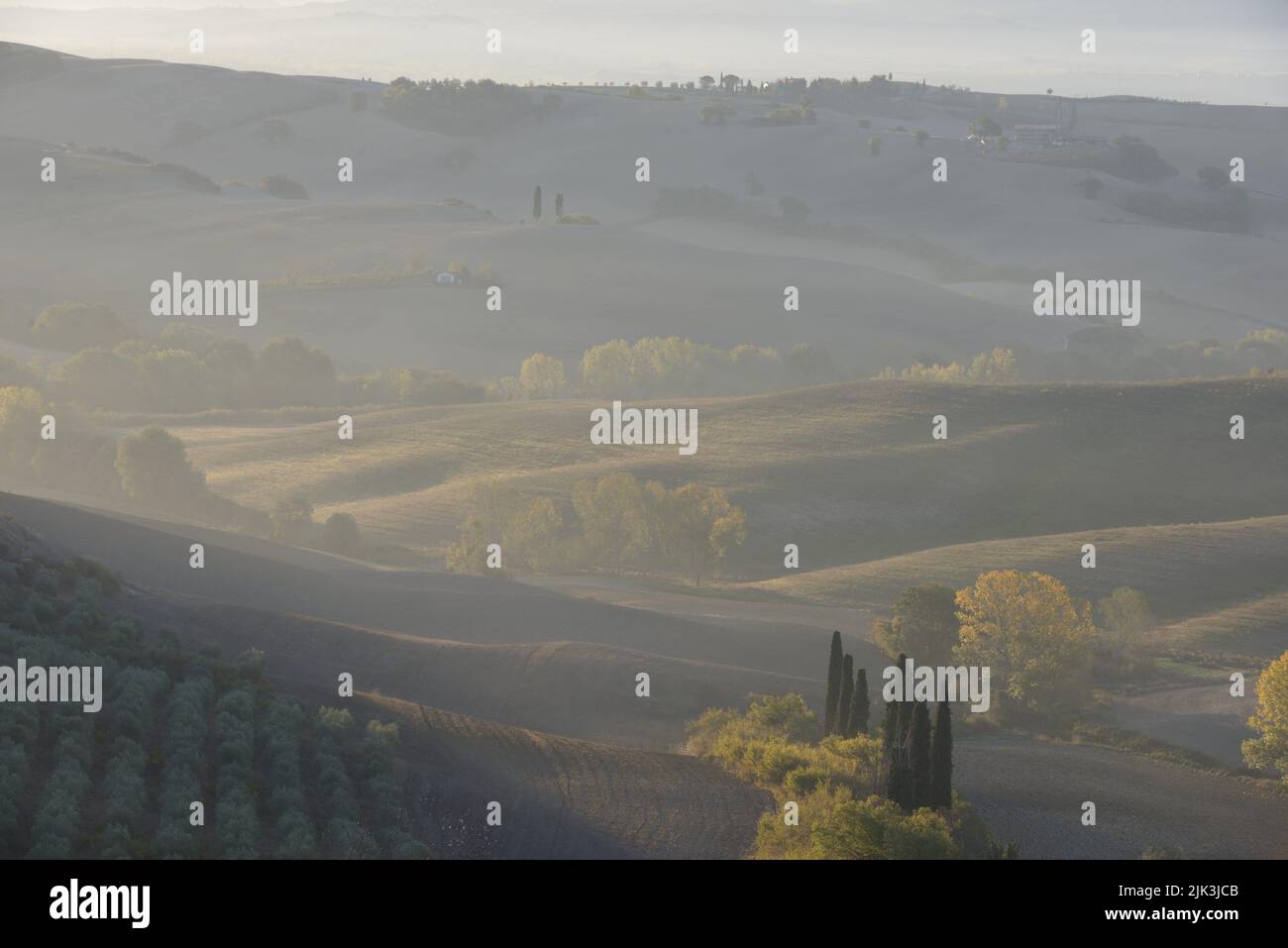 Vineyard fields in san hi-res stock photography and images - Alamy