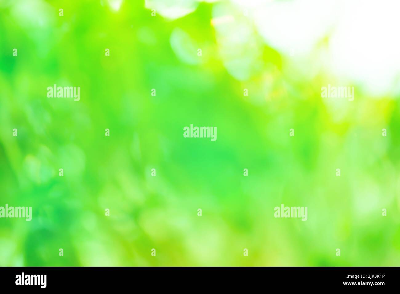 Bokeh green lights on texture. Blurred motion out of focus green ...